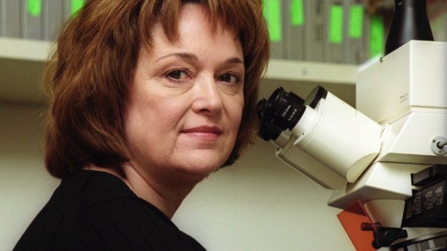 Linda Buck: usaimen-sistemaren misterioa argitu zuen emakumea ...