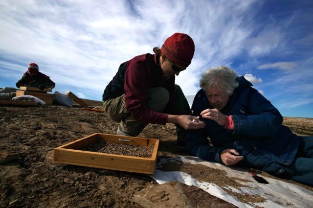 Mary R. Dawson (1930-2020), paleontologo bat Artikoan - Zientzia Kaiera